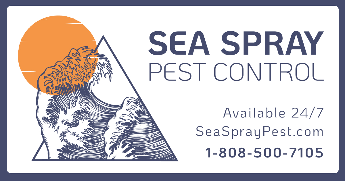 Home - Sea Spray Pest